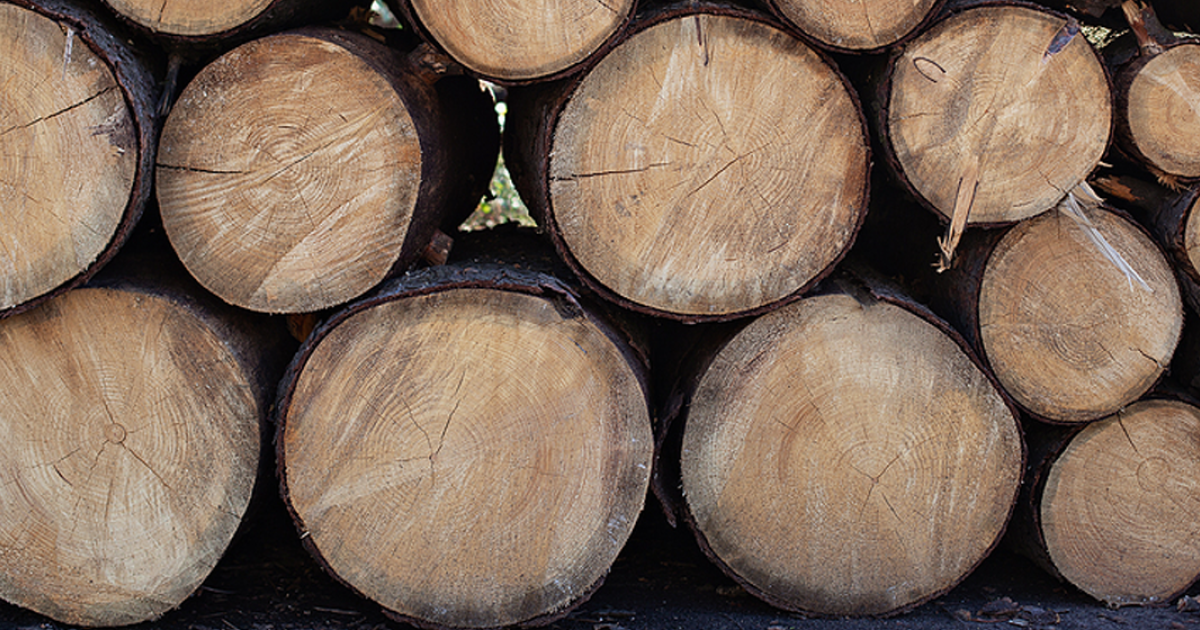 How Is It Always Speck in Your Eye, Log in Mine? | UCB Media Canada